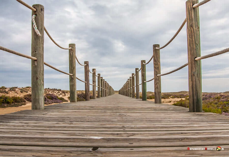 Isla de Armona e Isla de Culatra, 2 paradisiacas playas de Algarve